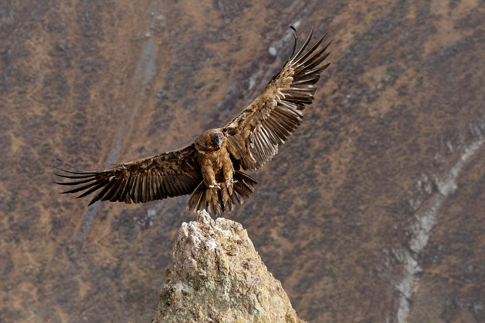 Archives des Pérou | Le goût d'ailleurs - Blog de voyages