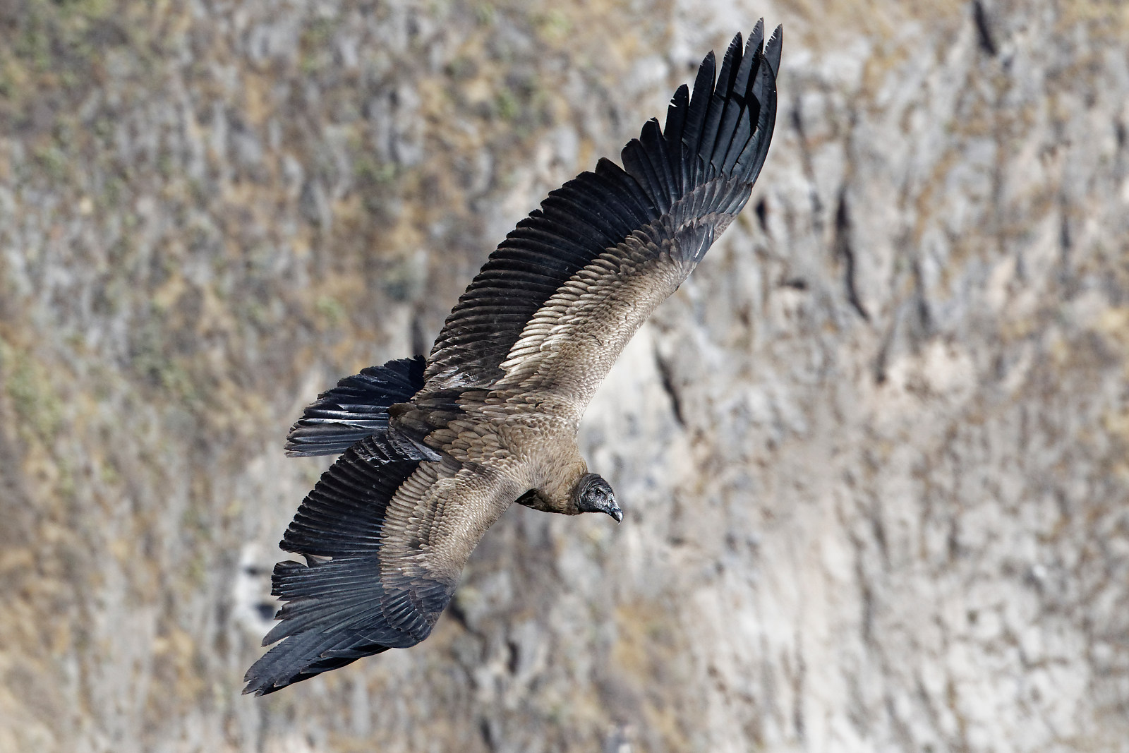 Archives des Pérou | Le goût d'ailleurs - Blog de voyages