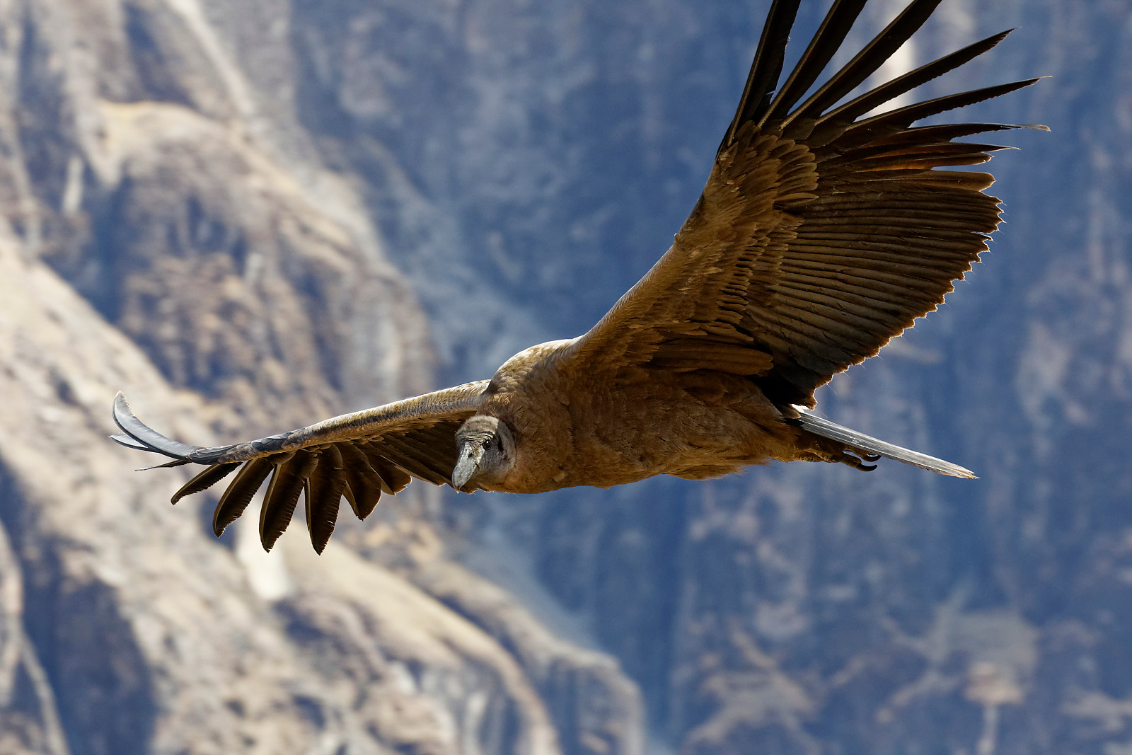 Archives des Pérou | Le goût d'ailleurs - Blog de voyages