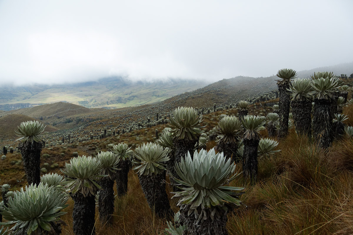 Archives des Páramo de Oceta | Le goût d'ailleurs - Blog de voyages